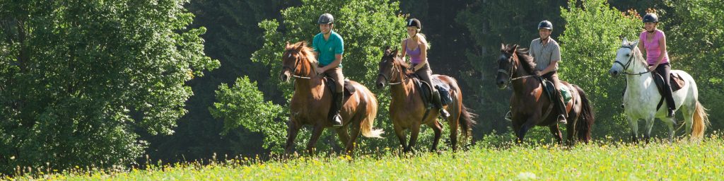Sternritte – Reitpark Gstöttner